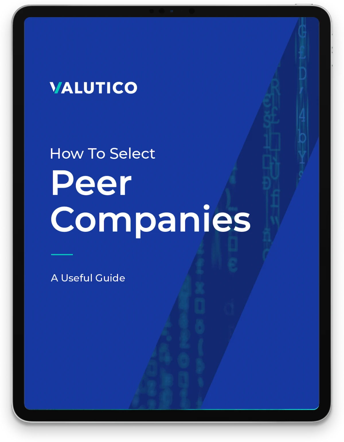 Peer selection guidebook - Valutico